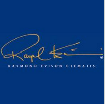 Raymond Evison® Clematis – tagged "Raymond Evison" – Green Promise Farms