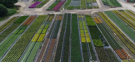 About Us – Green Promise Farms